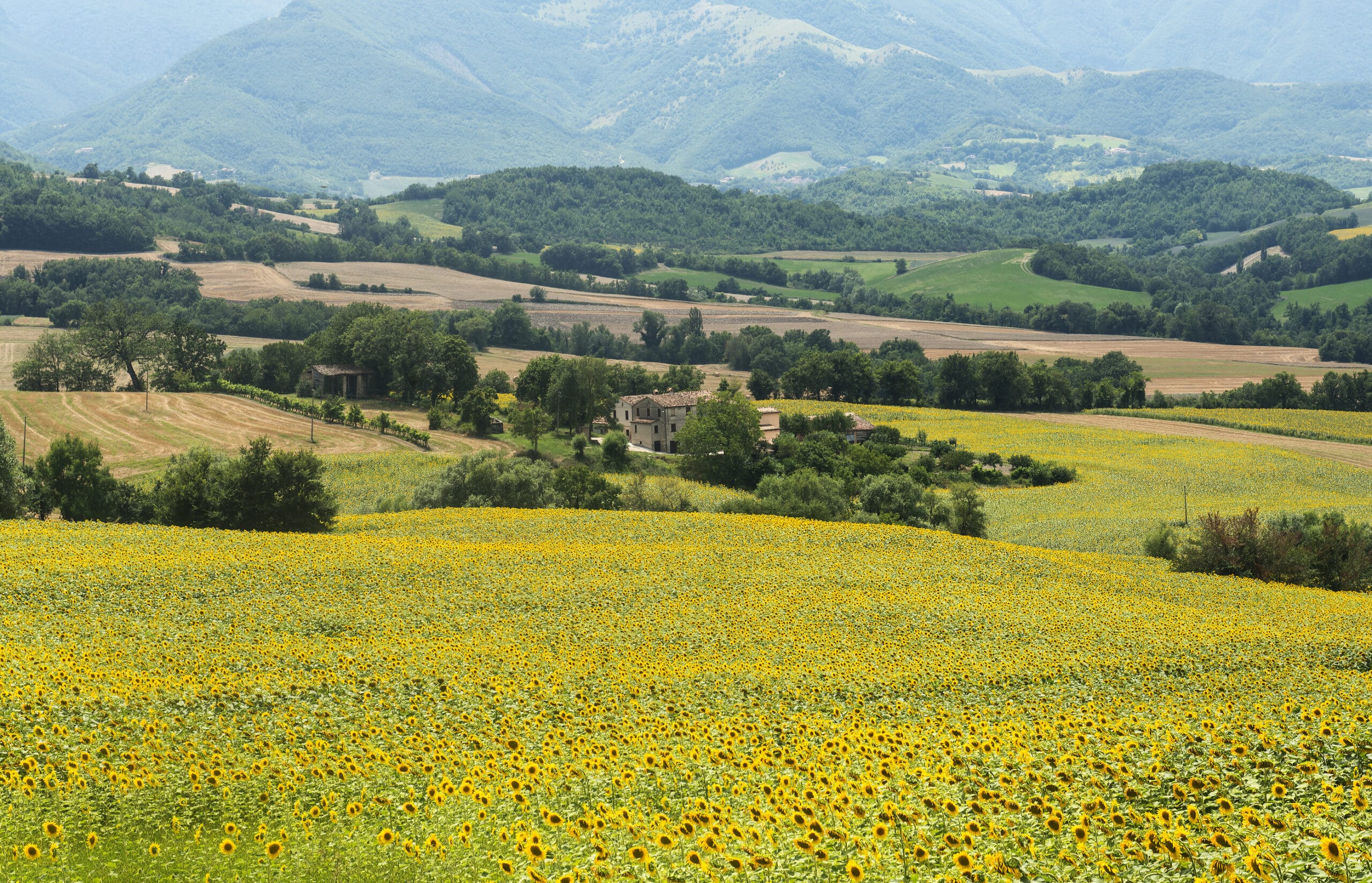Le Marche: Italy in One Region - Dream of Italy