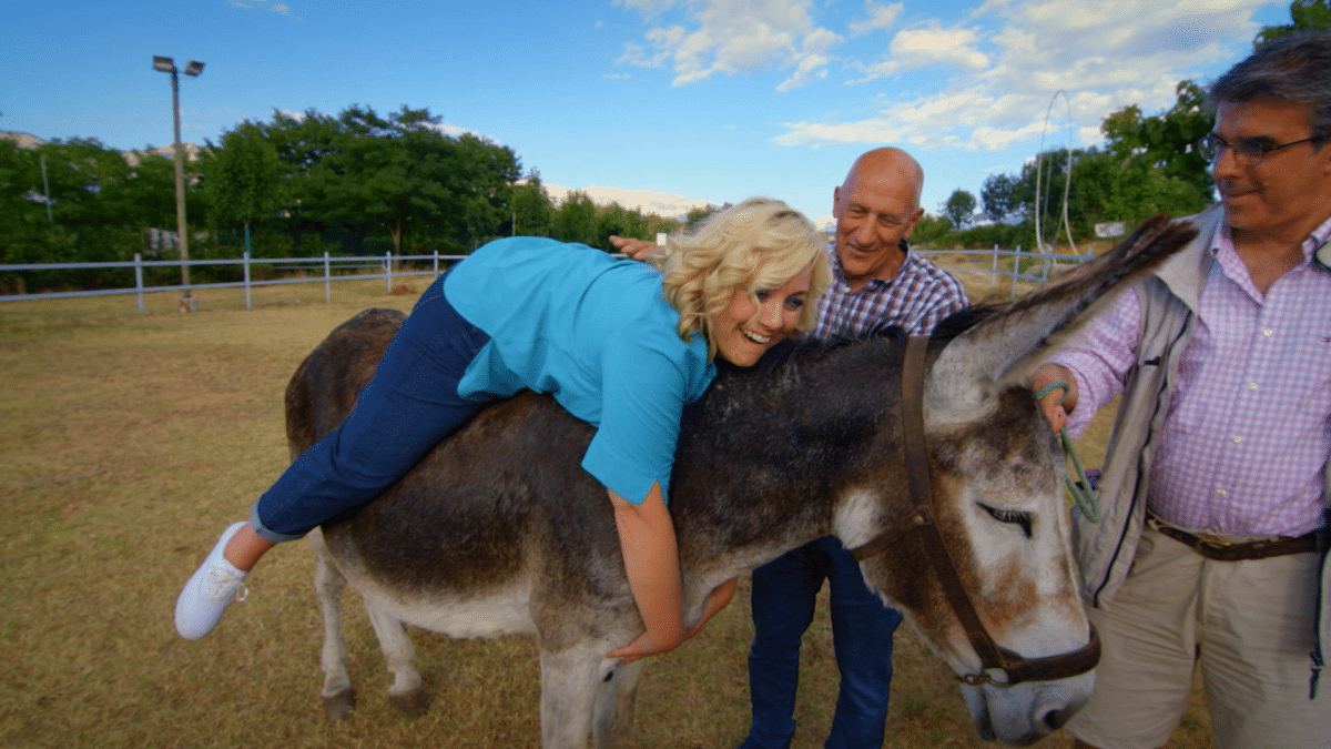 From The TV Show: Donkey Therapy in Abruzzo - Dream of Italy