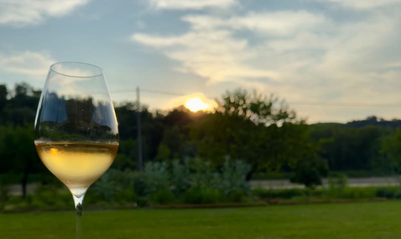 L’Argine a Vencò (Dolegna del Collio, Friuli-Venezia Giulia) (Fall 2025 ...